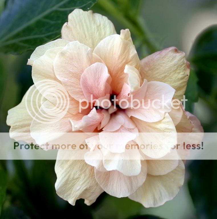 Textures - PentaxForums.com